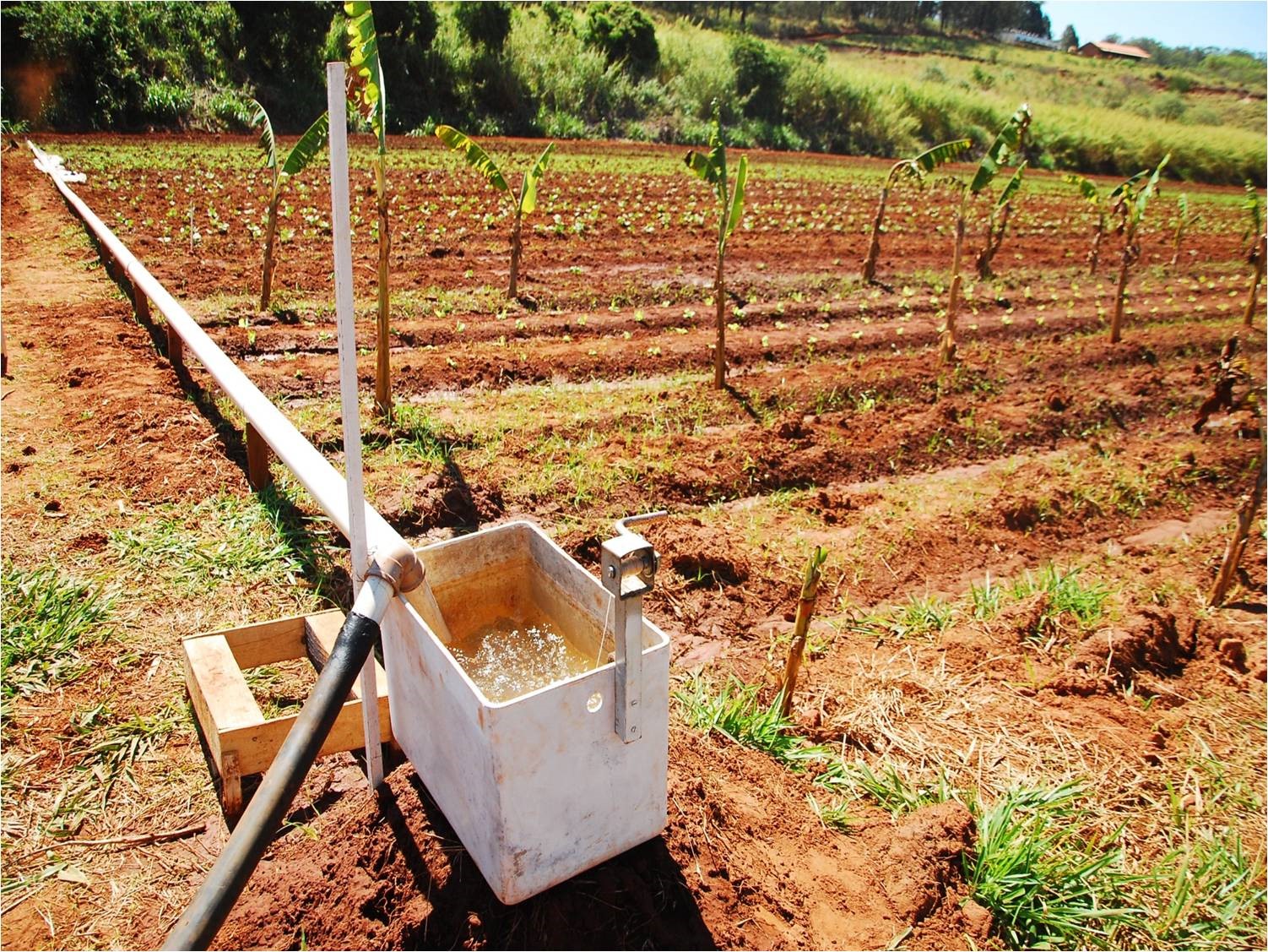 Sistemas de irrigação por superfície - Wikirriga